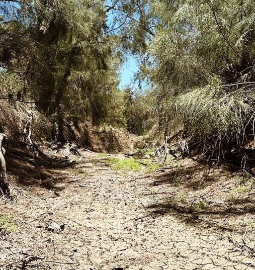 Senex Atlas Stage 3 Gas Project | KCB | Engineering Consulting